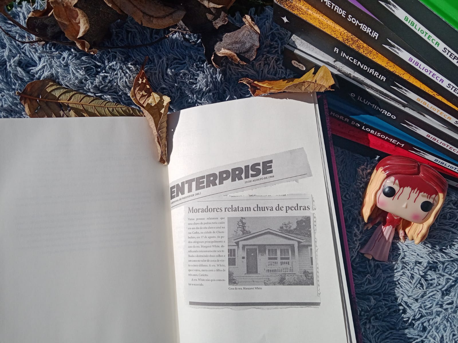 Carrie, Biblioteca Stephen KingCoisas de Mineira
