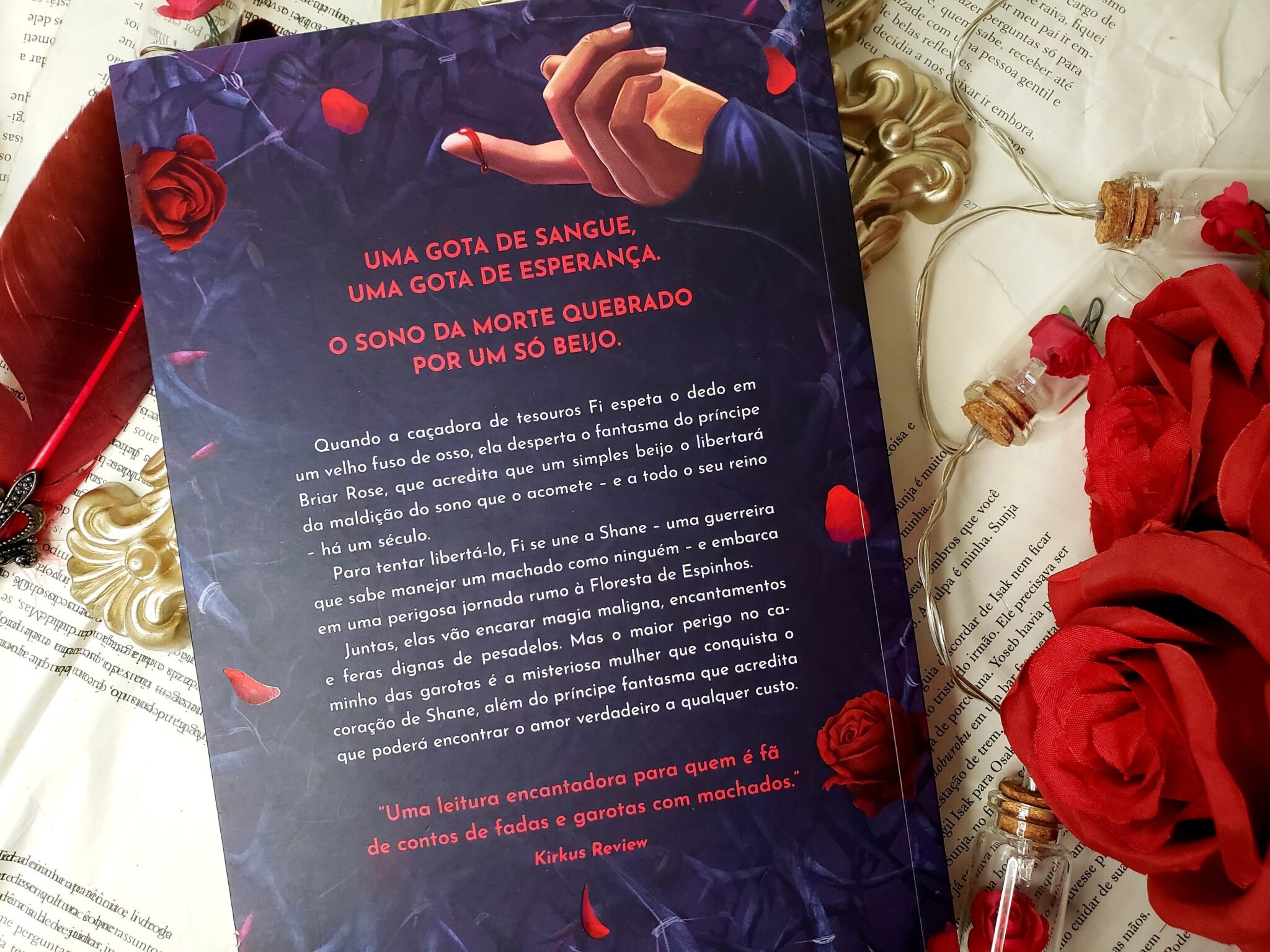 RESENHA DO LIVRO A MALDIÇÃO DO FUSO DE LESLIE VEDDERCoisas de Mineira